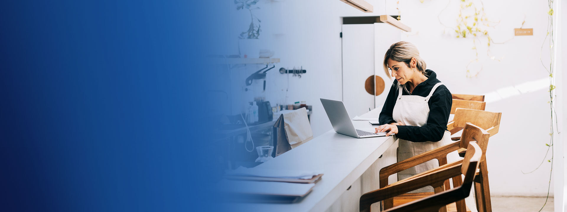 Assistance Cyberplus Pro | Banque Populaire